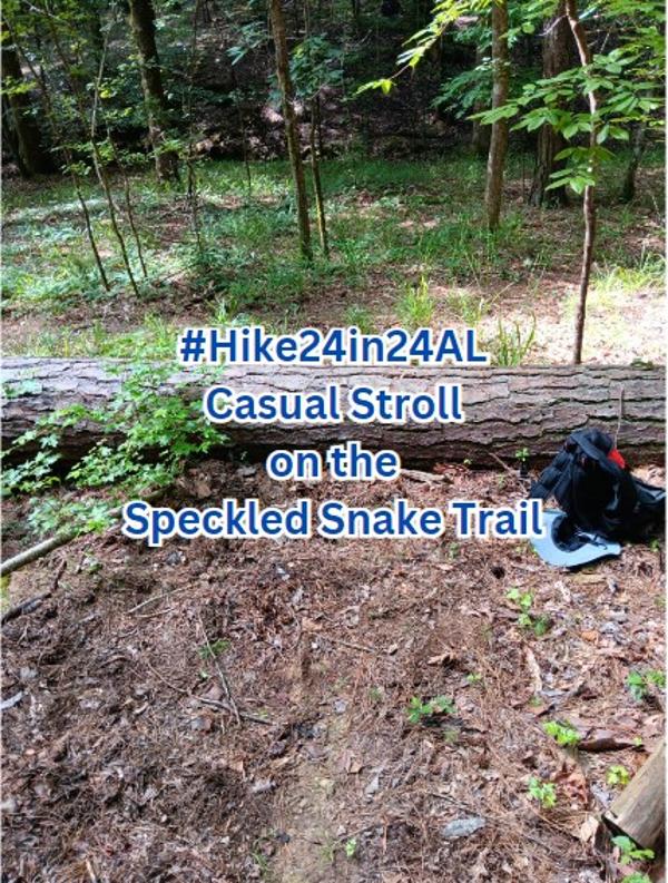 Casual Stroll on the Speckled Snake Trail! #Hike24in24AL | Alabama ...